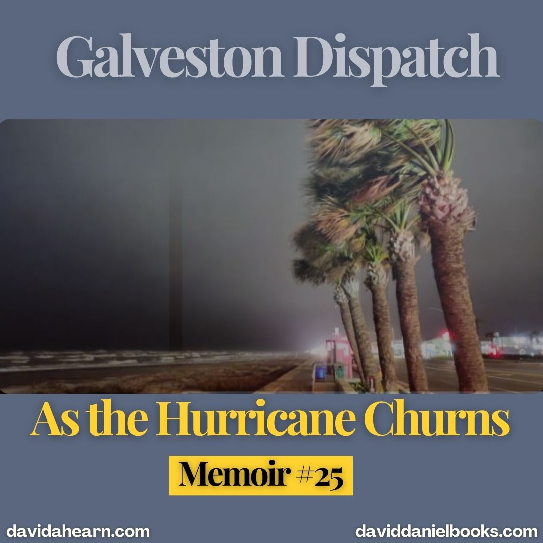 Galveston Dispatch: As the Hurricane Churns - David Daniel Books