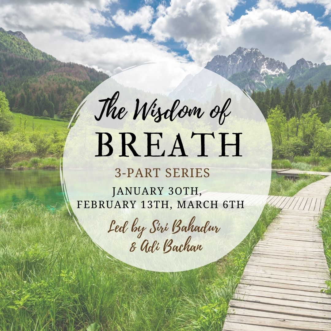 The Wisdom Series - David Daniel Books