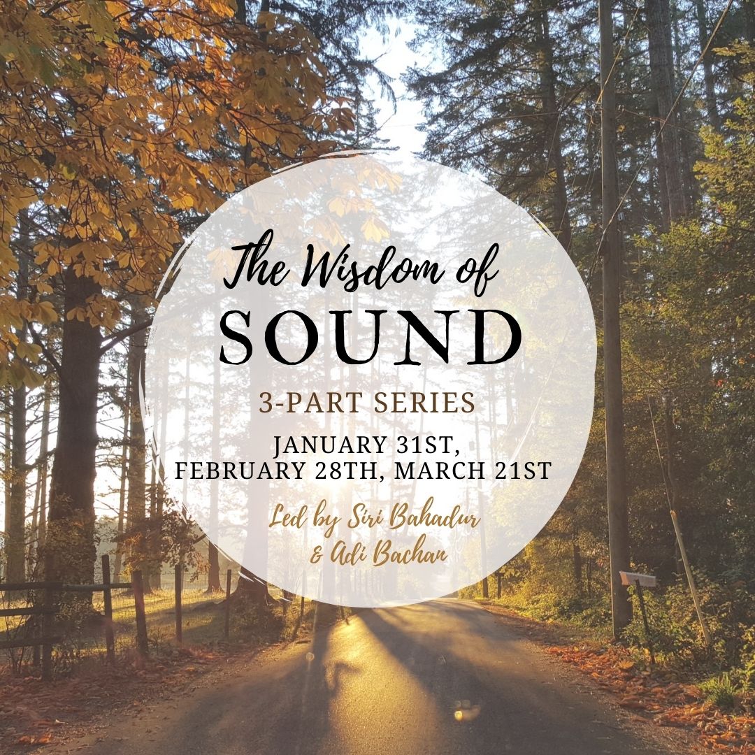 The Wisdom Series - David Daniel Books