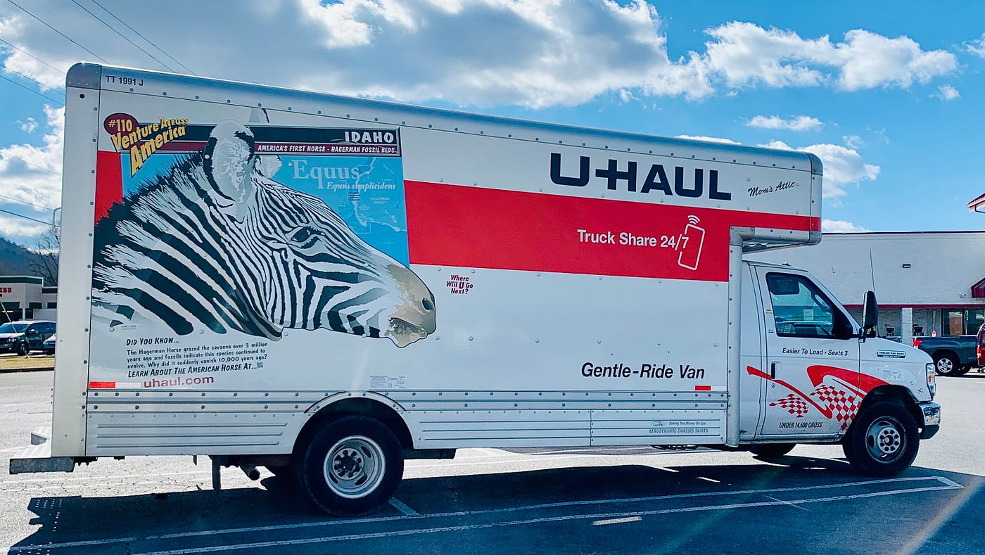 The Zebra and the U-Haul...(Part Five) - David Daniel Books