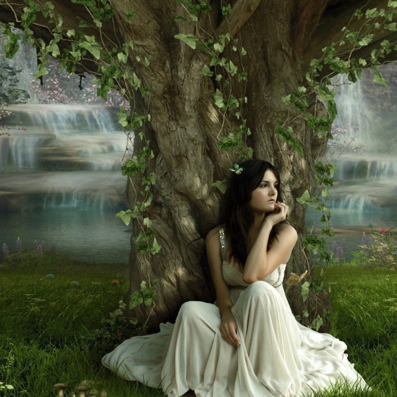 The Three Gates of Speech - David Daniel Books