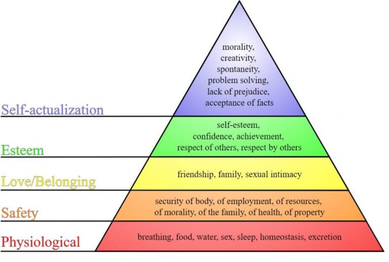 A Guide to the 5 Levels of Consciousness - David Daniel Books