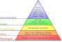 A Guide to the 5 Levels of Consciousness - David Daniel Books