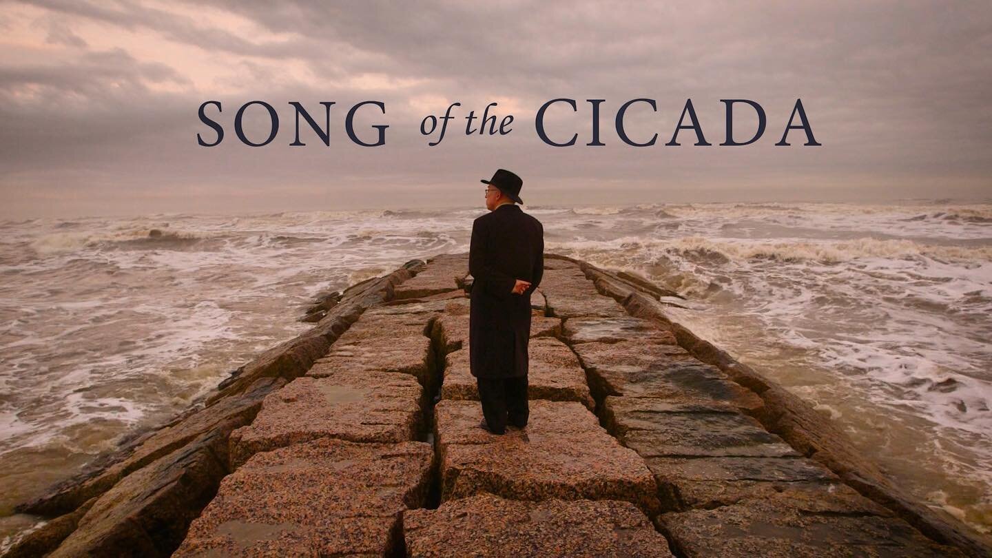 Song of the Cicada - David Daniel Books