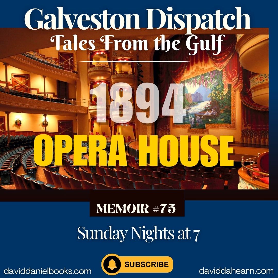 1894 Grand Opera House - David Daniel Books